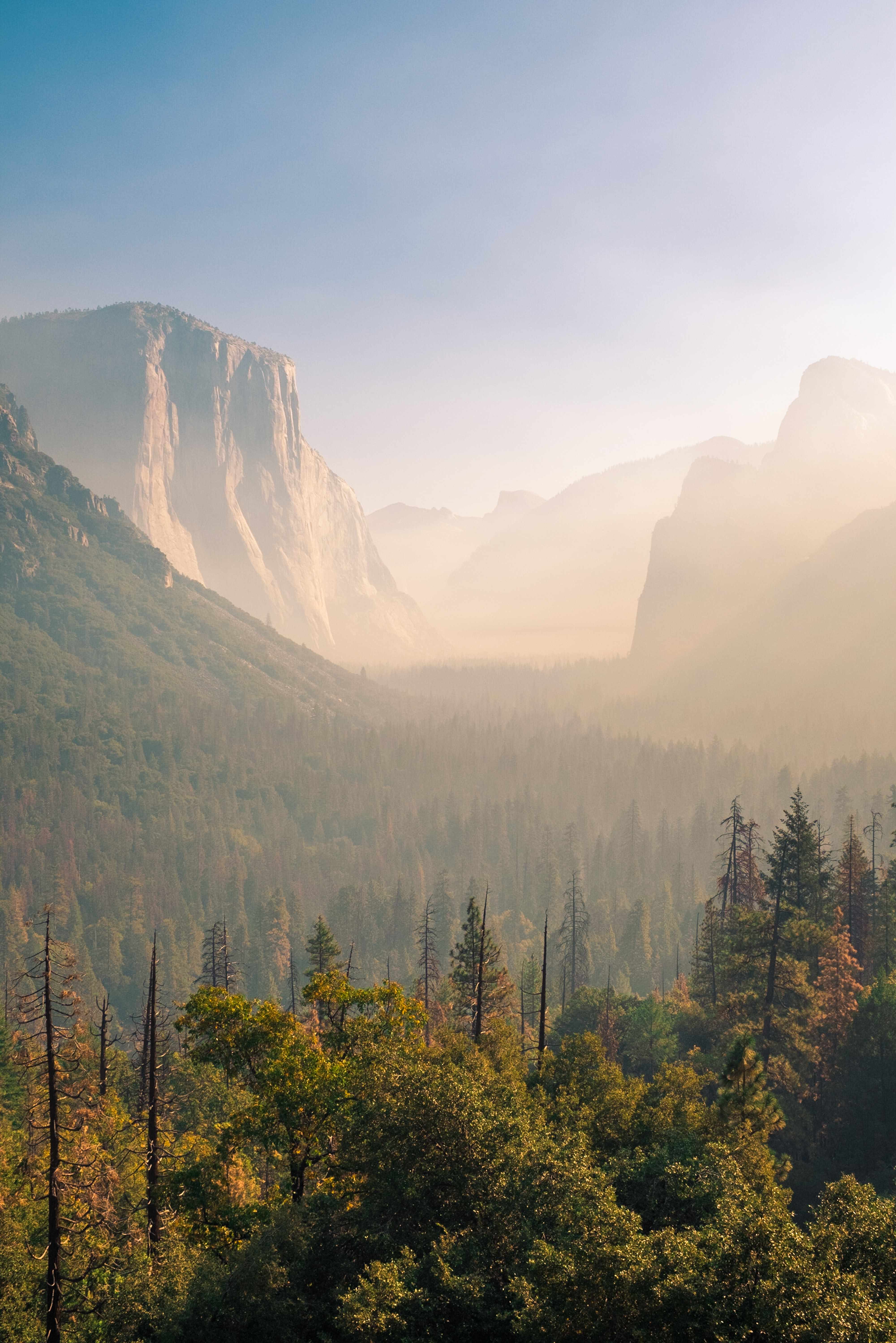 Gentics UI Image Editor